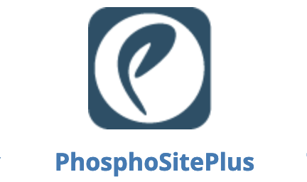 Studying PTMs and Disease Variants with PhosphoSitePlus